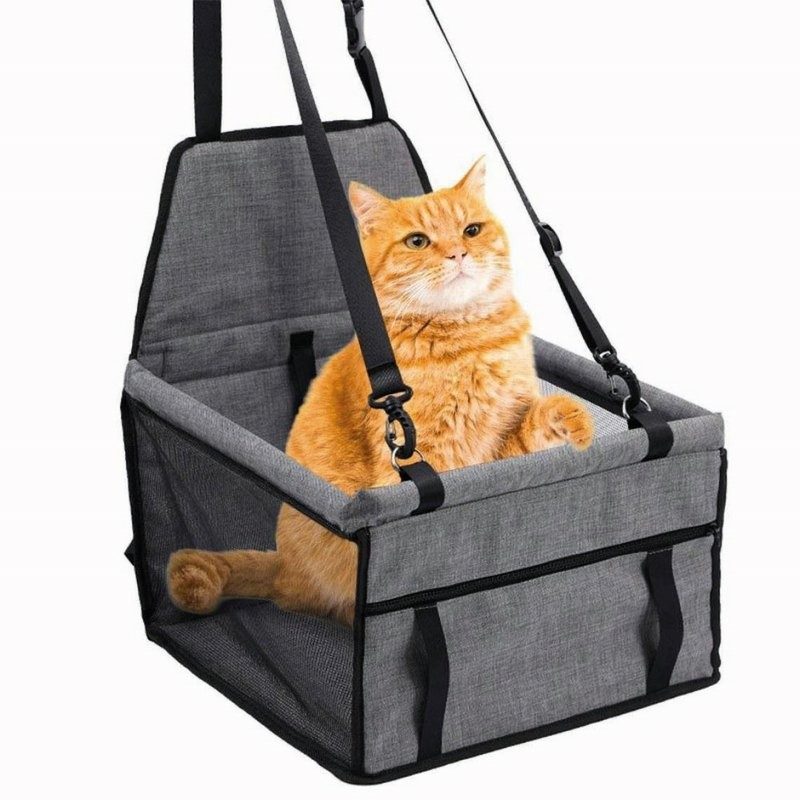 Voyager en camping-car avec son animal - Camping-car.com