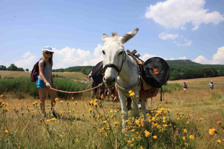 Découvrir la randonnée avec un âne le temps d’un week-end - Camping-car.com