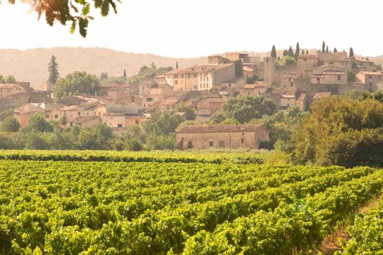 Vignobles de Provence : 4 circuits authentiques en camping-car au ...